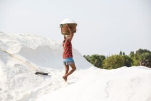 Salt Production in India – A Complete Overview - India Atlas