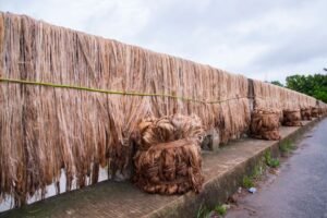 Top 10 Jute Producing States in India: Production, Area and Yield